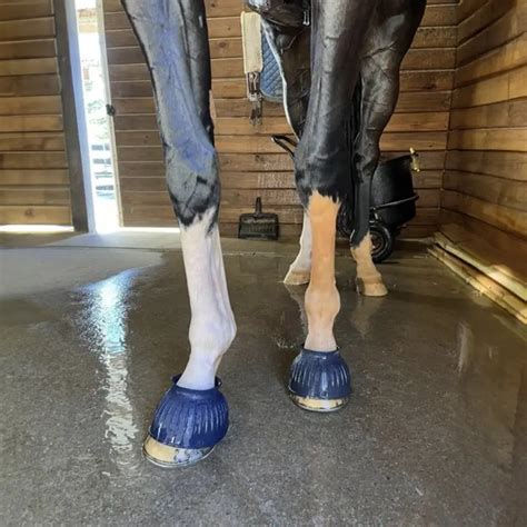 Consumer Brands Orvus Chemicals