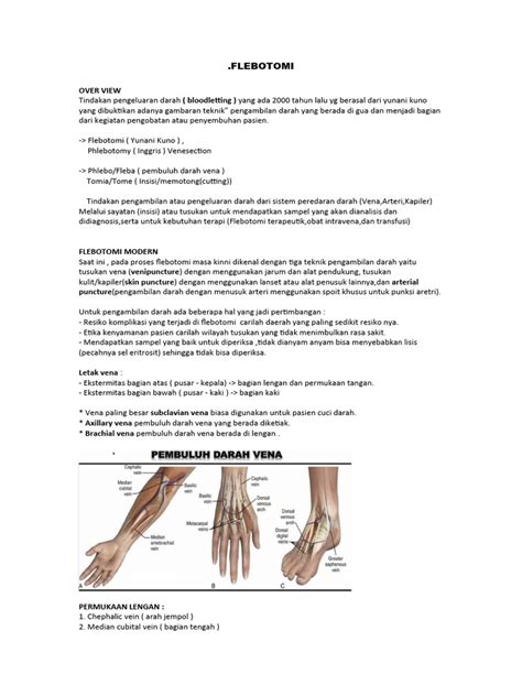 Flebotomi Pdf