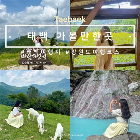 강원도 태백 가볼만한 곳 당일치기 여행 코스 추천 네이버 블로그