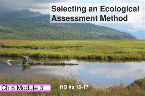 Ppt Selecting An Ecological Assessment Method Powerpoint Presentation