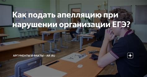 Как подать апелляцию при нарушении организации ЕГЭ Аргументы и факты Дзен