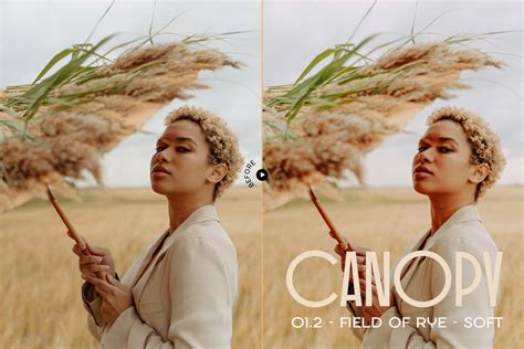 Canopy Earthy Lightroom Presets On Yellow Images Creative Store