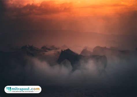 Apa Itu Dukhan Yang Muncul Jelang Hari Kiamat