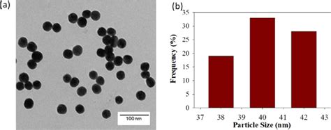 A Tem Image Of The As Synthesized Aunps And B Particle Size