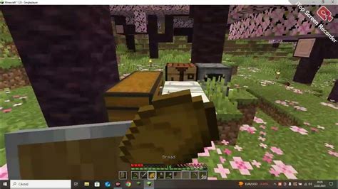 Partea 2 Minecraft Youtube