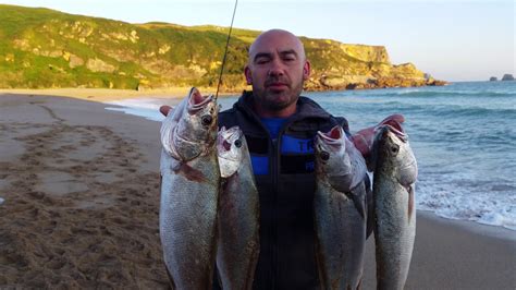 Corvinas Pescadas Por Un Servidor Youtube