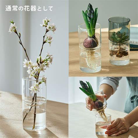 【楽天市場】ハリオ ガラスのある生活 ガラスの花器 Hario【 フラワーベース ガラス 花器 花瓶 一輪挿し 水耕栽培 耐熱ガラス 食洗機対応 】：クッキングクロッカ 楽天市場店