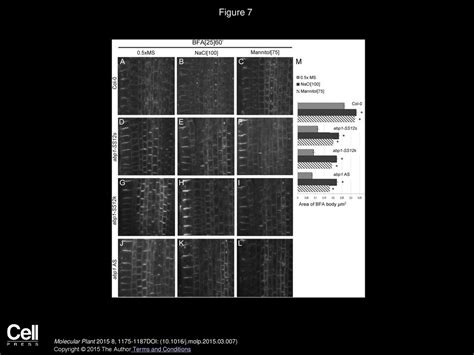 Volume 8 Issue 8 Pages August 2015 Ppt Download