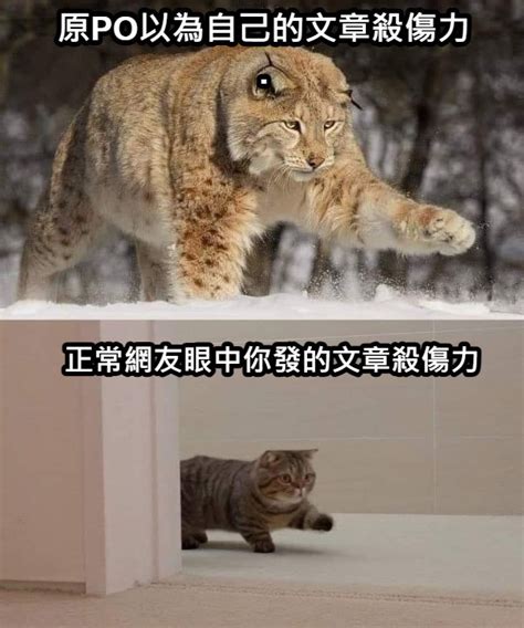 原po以為自己的文章殺傷力 正常網友眼中你發的文章殺傷力