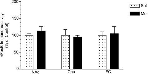 D1 Dopamine Receptors Modulate Δfosb Induction In Rat Striatum After