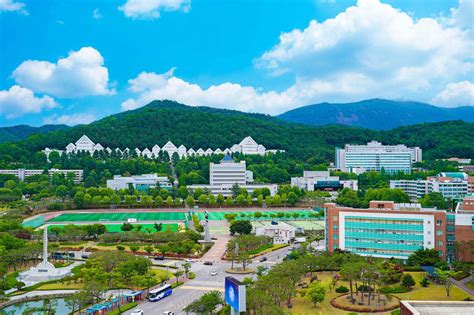 조선대 간호학과 올해 국가시험 전원 합격