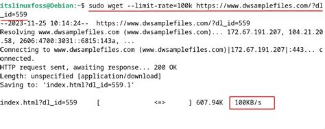 How To Install The Wget Command In Debian 12 Its Linux FOSS