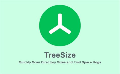 10 Best TreeSize Alternative Insights To Find The Ideal One