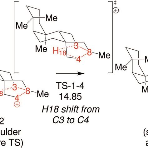 Triple Shift Reaction Reported By Hong And Tantillo⁴² System A
