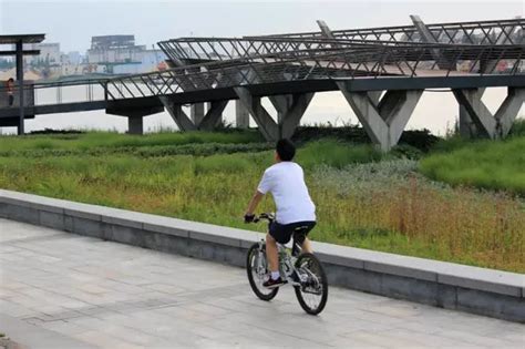 宁波甬江平台公园 Aecom Archina 项目