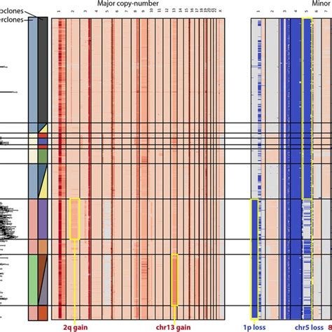 Inferred Phylogeny For Single Cell Data With 1023 Cells Inferred