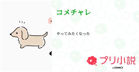 コメチャレ 全3話 【連載中】（るりタメ大好き人間さんの小説） 無料スマホ夢小説ならプリ小説 Bygmo