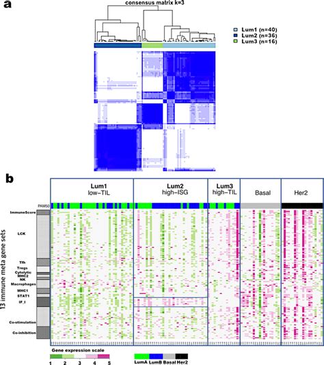 Consensus Clustering Of 92 Luminal Breast Tumors From Hong Kong
