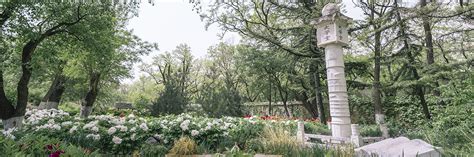 庞全全 北京大学材料科学与工程学院