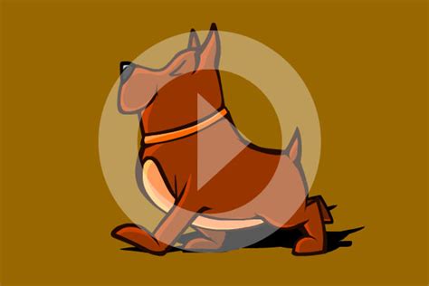 Flash Animation Swf