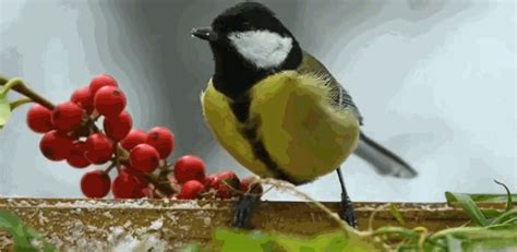 Python自动化控制鼠标和键盘操作—— Pyautoguipython控制键盘怎么对指定的应用产生 不影响其他键盘使用 Csdn博客