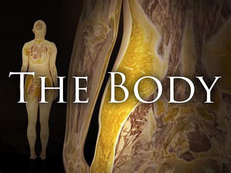 Watch The Body | Prime Video