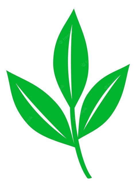 Icône De Feuille Verte Symbole Eco Signe De Nature Propre Vecteur Premium