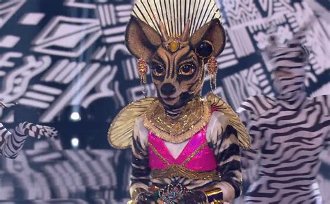 „the Masked Singer“ Unglaublich Okapi Entpuppt Sich Als Esc Legende
