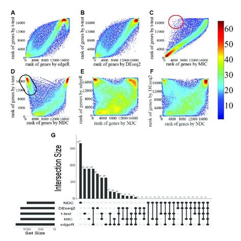 Comparison Of Gene Ranking By T Test Edger Deseq2 Maximal Download Scientific Diagram