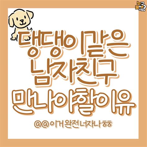 누구 물어본 사람 누물보 댕댕이같은 남자친구 만나면 좋은 점🤎 이고 완전 쟈기 얘기자나 ㅎㅎㅎㅎ 댕댕이 댕댕미