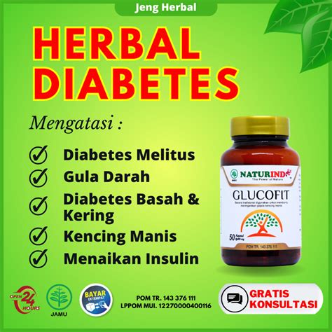Jual Obat Diabetes Paling Ampuh Diabetes Melitus Basah Kering Tipe Gula Darah Tinggi Herbal