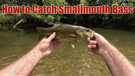 Creek Fishing Tips For Catching Smallmouth Bass With Live Bait Youtube