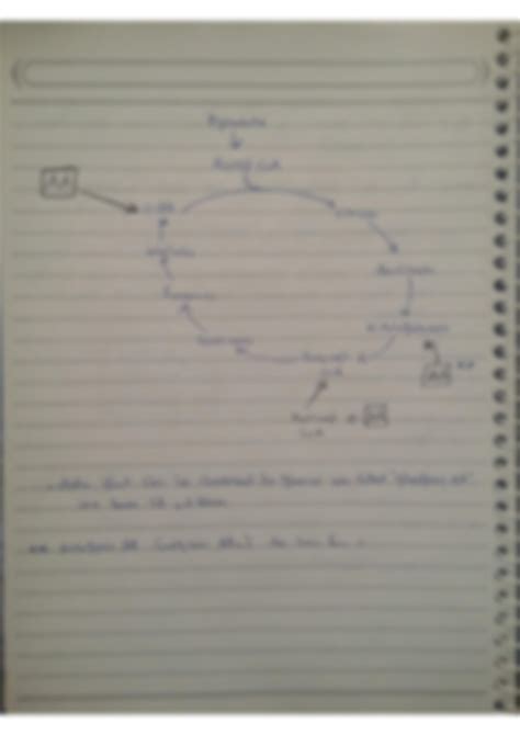 Solution Introduction And Explanation Of Gluconeogenesis With Diagrams