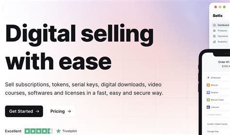 Sellix Info Pricing And Alternatives