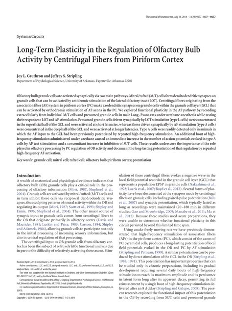 Pdf Long Term Plasticity In The Regulation Of Olfactory Bulb Activity
