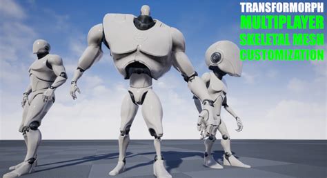 transformorph multiplayer skeletal mesh customization 카테고리 코드 플러그인