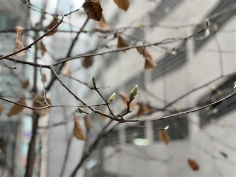 인쇄하기