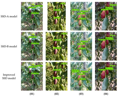 Agriculture Free Full Text Object Detection Algorithm For Lingwu Long Jujubes Based On The
