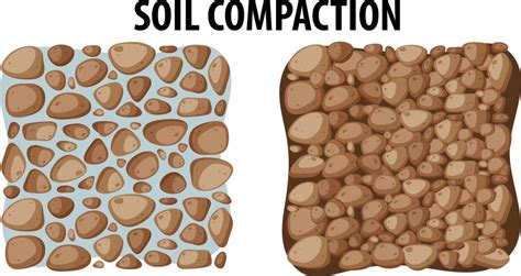 Density Concept With States Of Matter Royalty Free Vector
