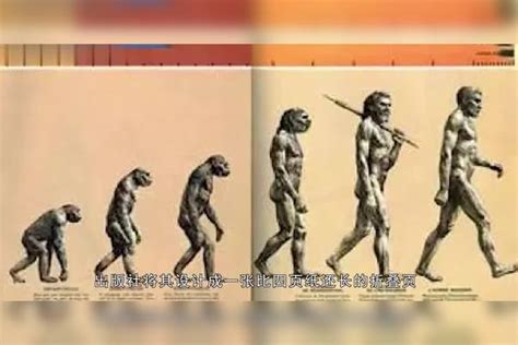 那张著名的“人类进化图” 竟然是错的？网友：被书骗了多年 进化 那张 人类