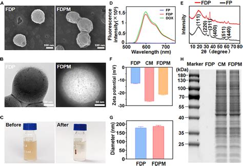 A Magnetic Responsive Biomimetic Nanosystem Coated With Glioma Stem Cell Membranes Effectively