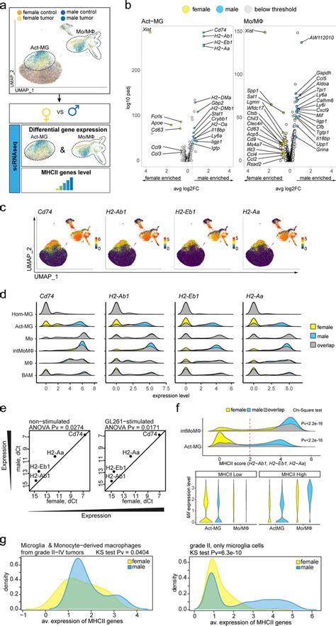 Expression Of Mhcii And Cd74 Genes Is More Abundant In Microglia And