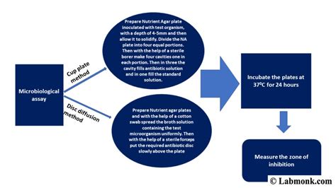 Lab Monk On Linkedin Microbiological Assay Of Antibiotics Using Cup