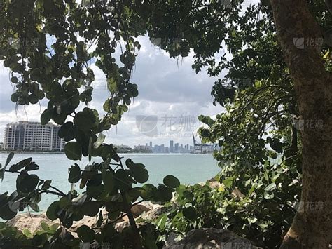 迈阿密南海滩