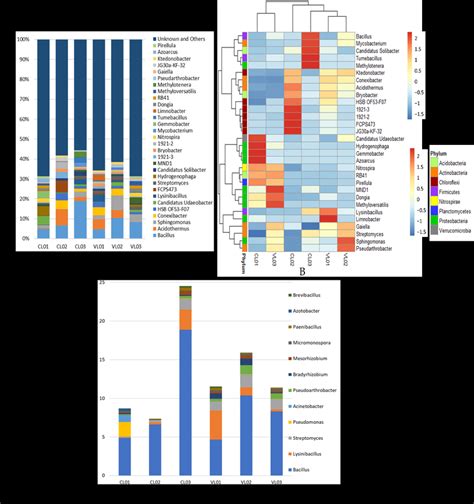 Relative Abundance Of 16s Rrna Gene Sequences Classified Genus Level