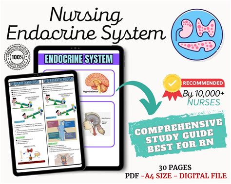 Endocrine System Nursing Study Guide Endocrine Disorders Etsy