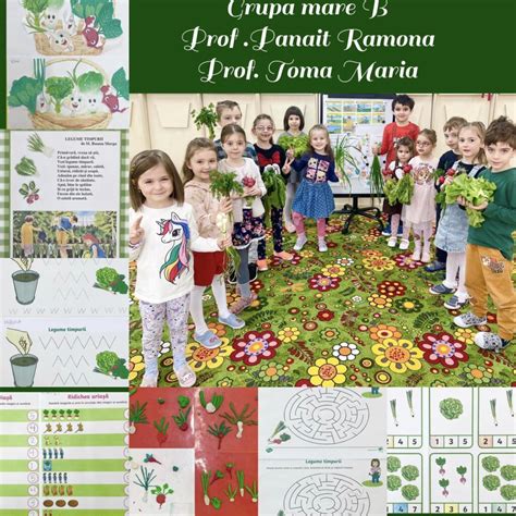Tipuri de activități la grădiniță Grădinița cu program prelungit Dințișori de lapte Nr