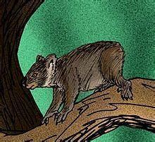 Litokoala - Alchetron, The Free Social Encyclopedia