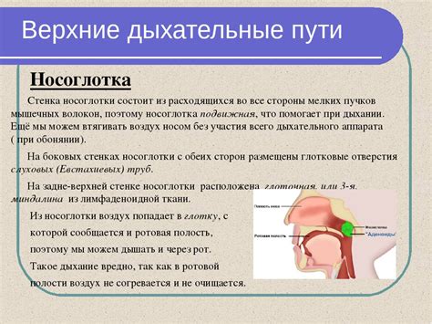 Thick Mucus From Nose Thick Rubbery Mucus From Nose Causes Treatment