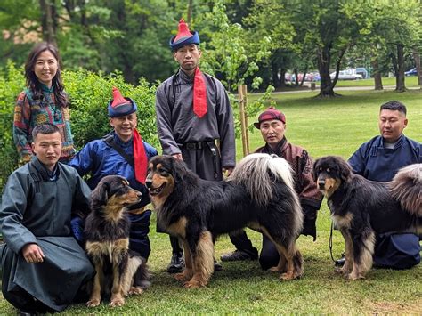 ВИДЕО Монгол банхар дэлхийн аварга шалгаруулах үзэсгэлэн тэмцээнд грүппийн аваргаар шалгарчээ